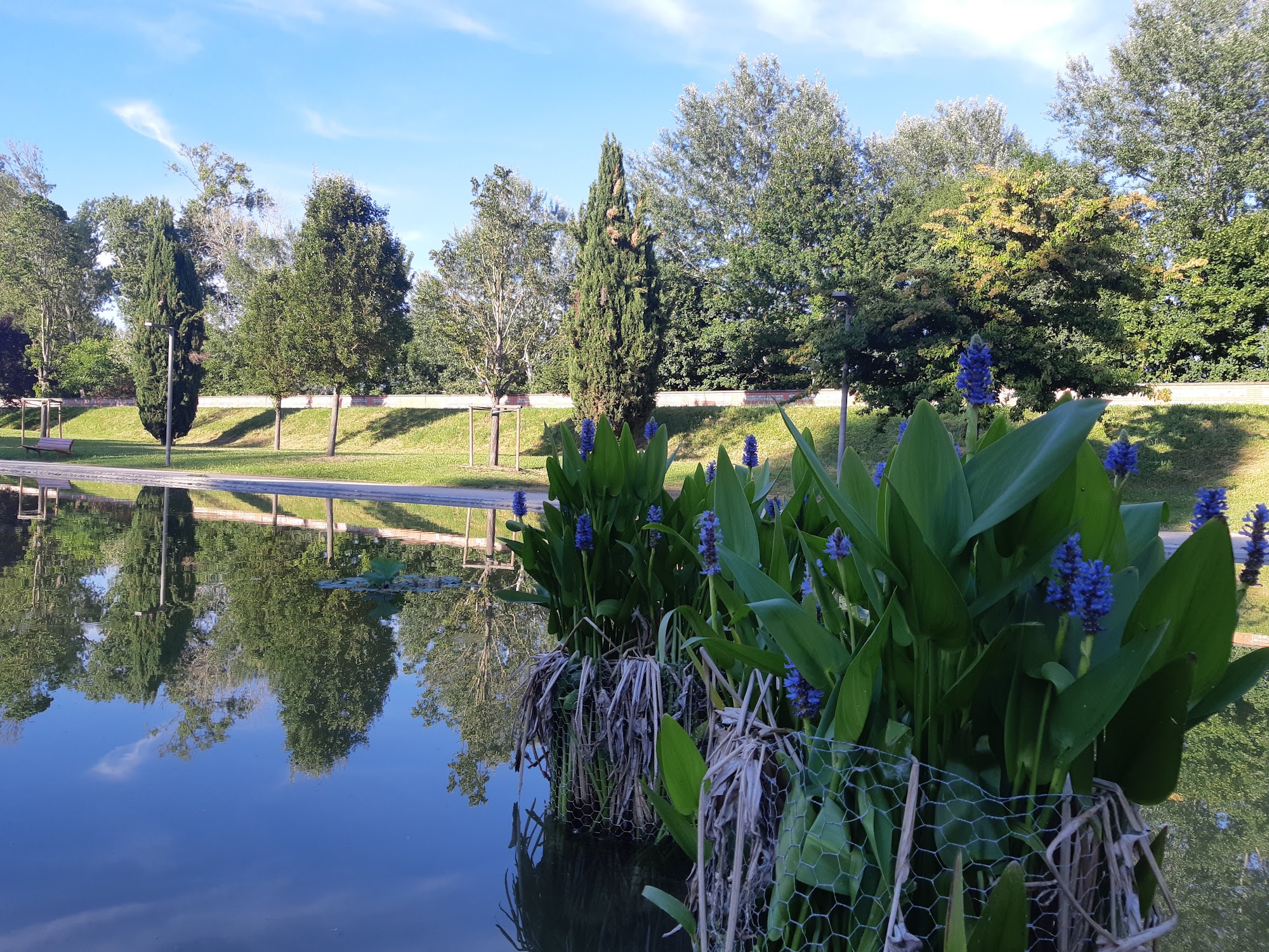 Parc des Ramiers (juil. 2025) Horaires | Infos & avis | Toolyon